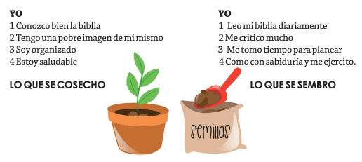 C) Tareas La Siembra y la Cosecha – Renacer